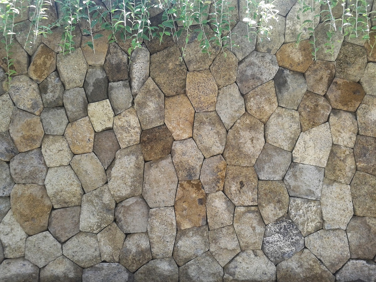 Konstruksi Rumah: Batu Paras Serai Beronjol