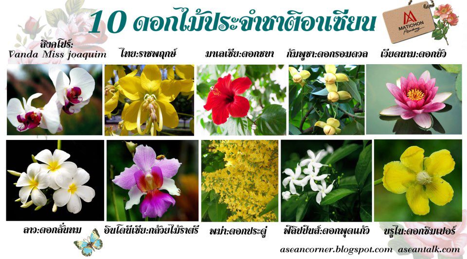 National Flowers of 10 ASEAN Countries