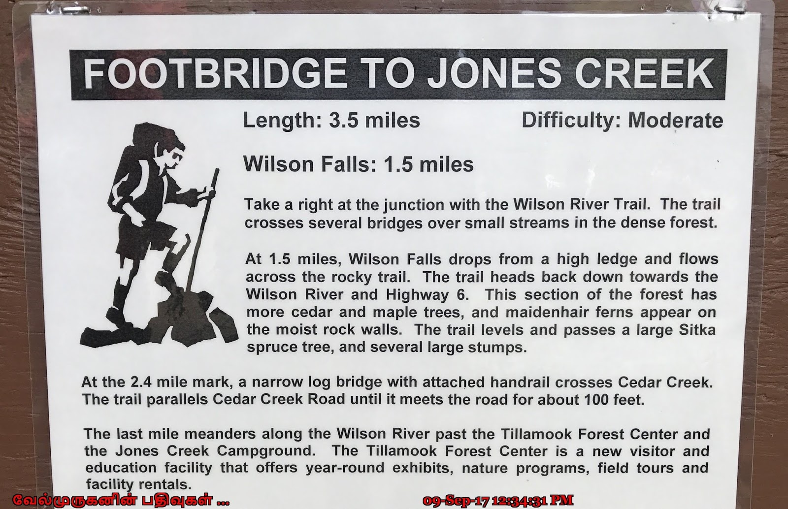 Wilson River Hike Tillamook - Exploring My Life