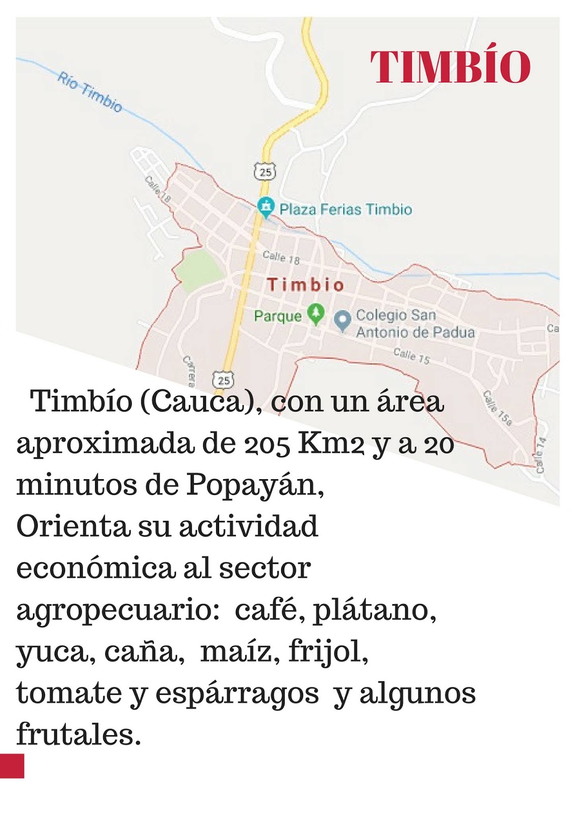 POPAYAN CITY: PAN DE PUEBLO: EL PAN DE TIMBIO