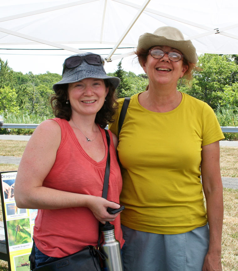 Dragonfly Dazed: Annual Dragonfly Day for Families and Nature Lovers