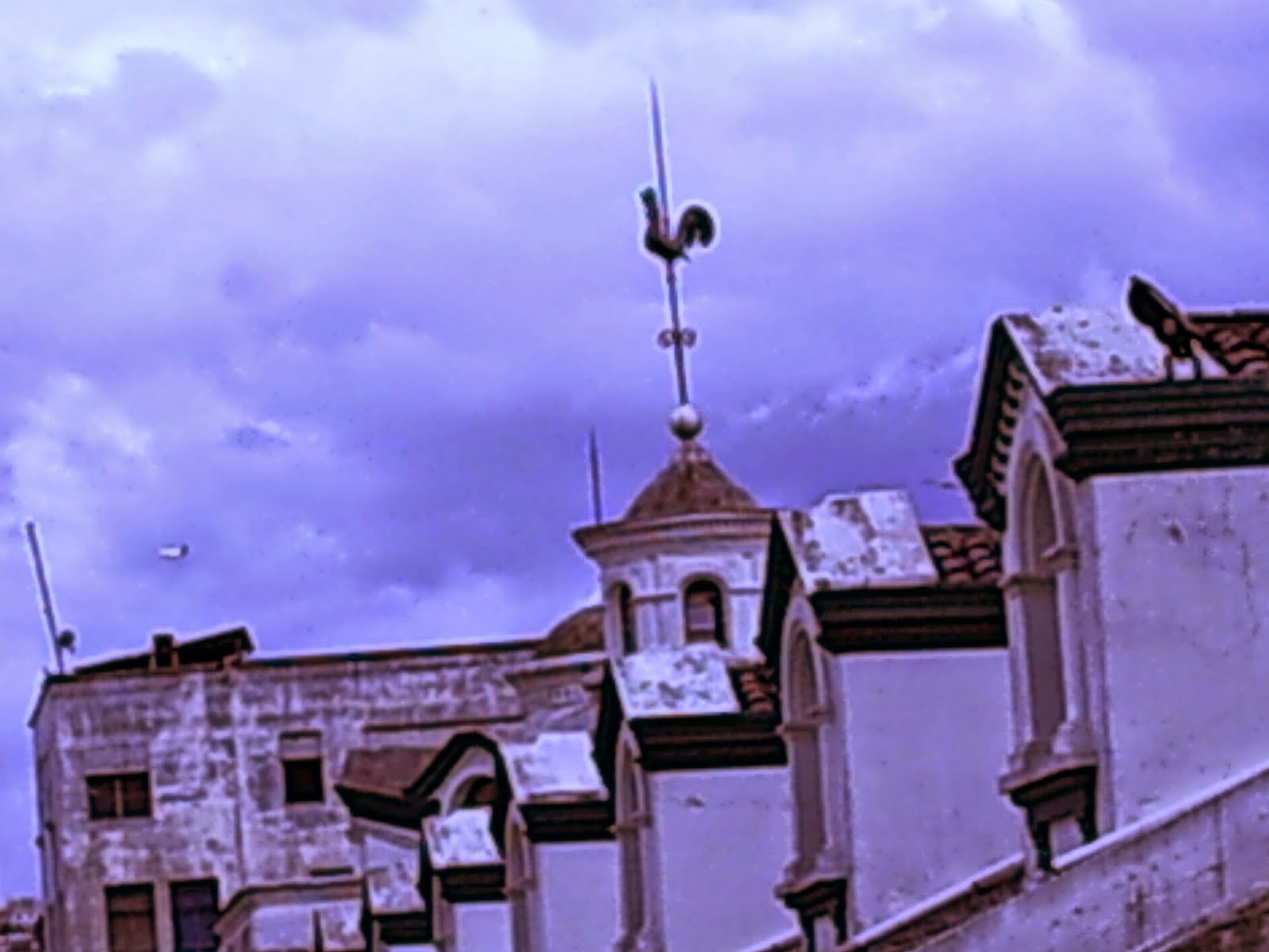 NOCHES DE PENUMBRA ECUATORIANA - EL GALLITO DE LA CATEDRAL | RADIO ...