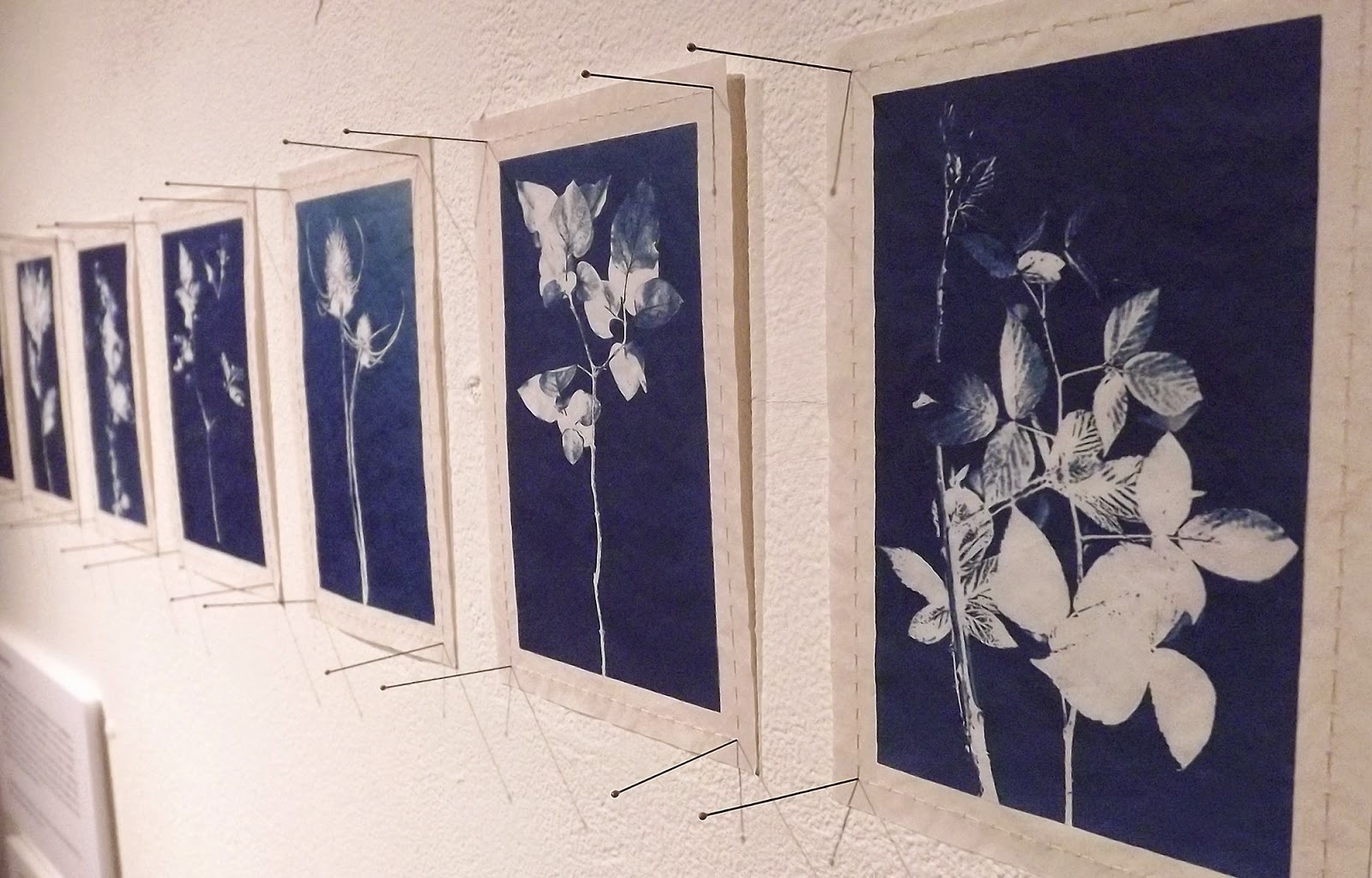 LYNNETTE MILLER: Metamorphosis and Otherworlds