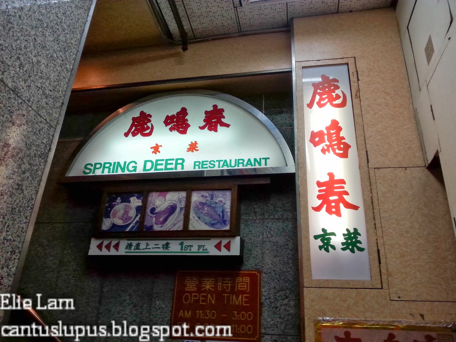 Hong Kong Eats: Spring Deer Restaurant & Cafe De Coral - CANTUSLUPUS.COM