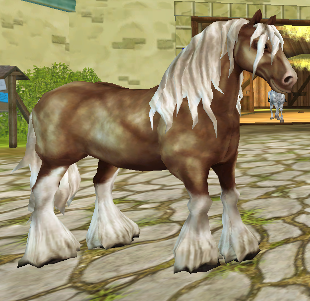 Capucine's Starstable: Tinker eller Andalusier?