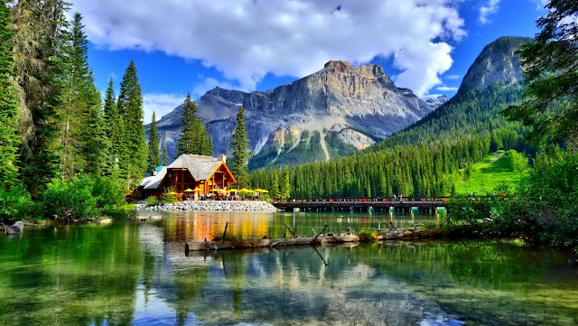 Dekstop Wallpaper | WallPaper