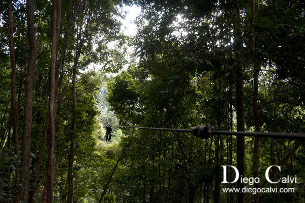 The Gibbon Experience, Laos : Apuntes de viaje