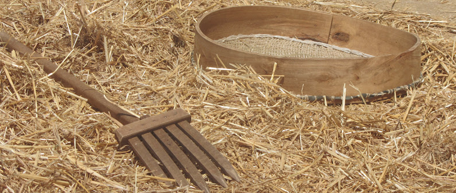 Our Lady of Mount Carmel, Mill Valley: What does your winnowing fan ...