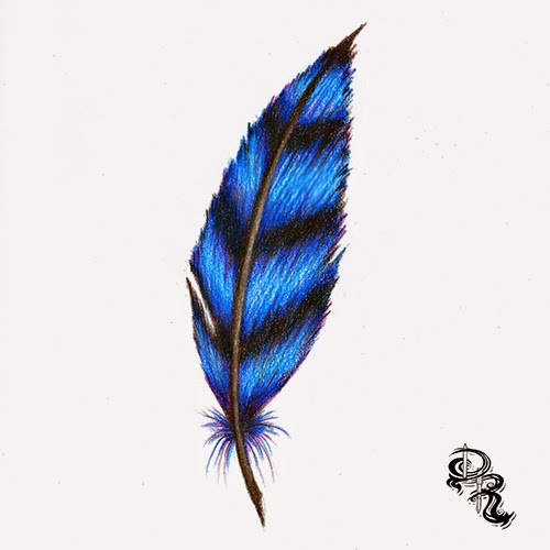 How to Draw a Feather with Colored Pencils