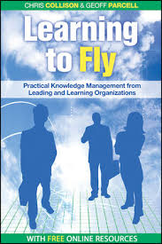 Insight Mapping: Learning to Fly (Book 19 of 30)