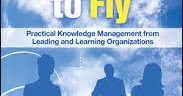 Insight Mapping: Learning to Fly (Book 19 of 30)