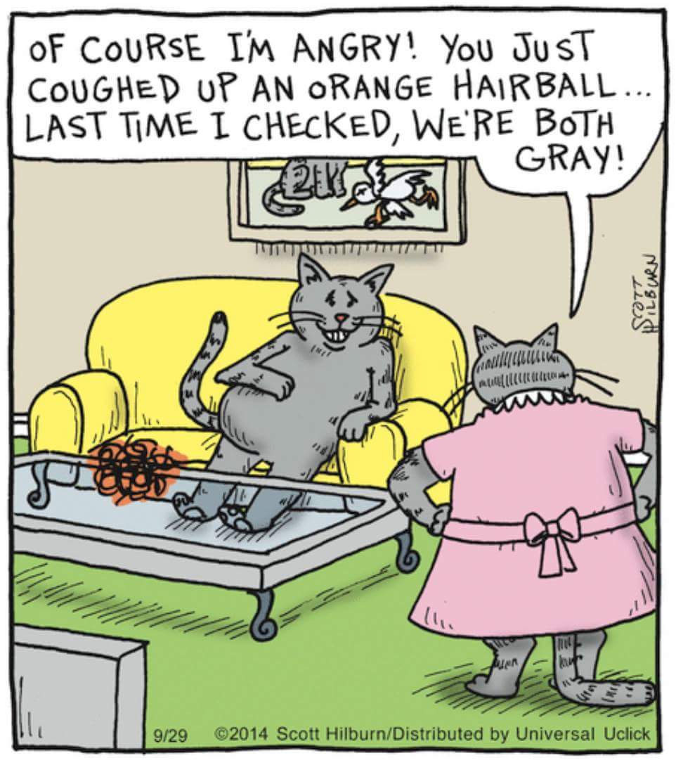 Just Breathe: SUNDAY FUNNIES