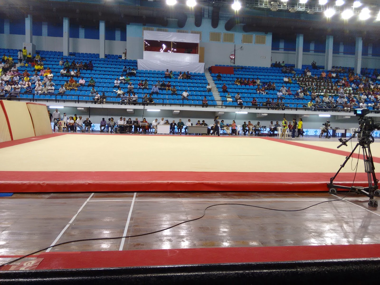 THARU DR AJAY KUMAR OJHA: FROM the EYES of DR AJAY KUMAR OJHA : JIMMY ...