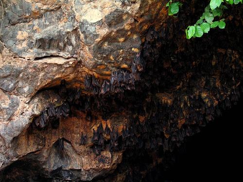 Travel World Blog: LAMGAU CAVES GOA