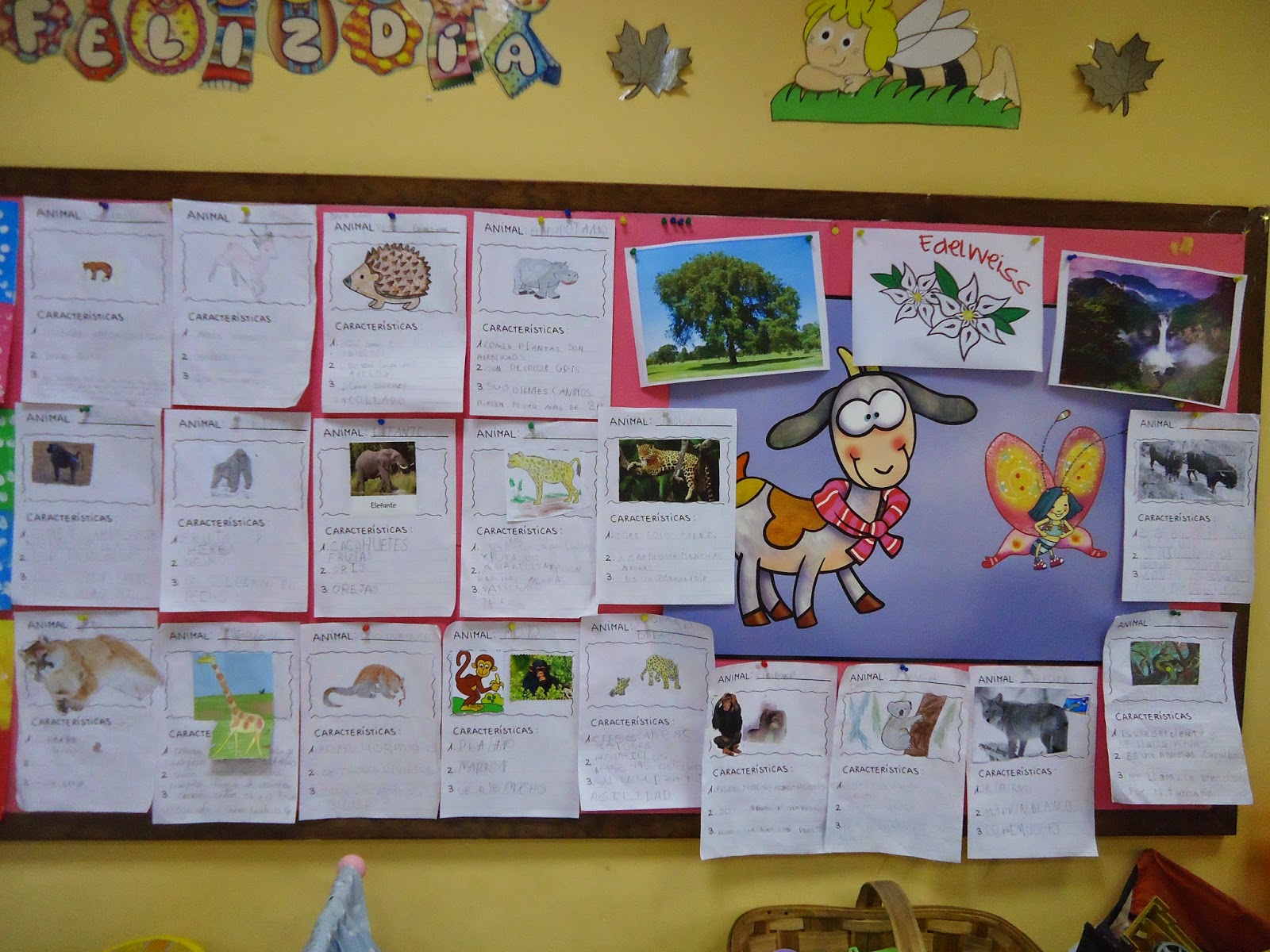 UNA VENTANA ABIERTA A NUESTRO MUNDO: Animales del Amazonas por 2º E