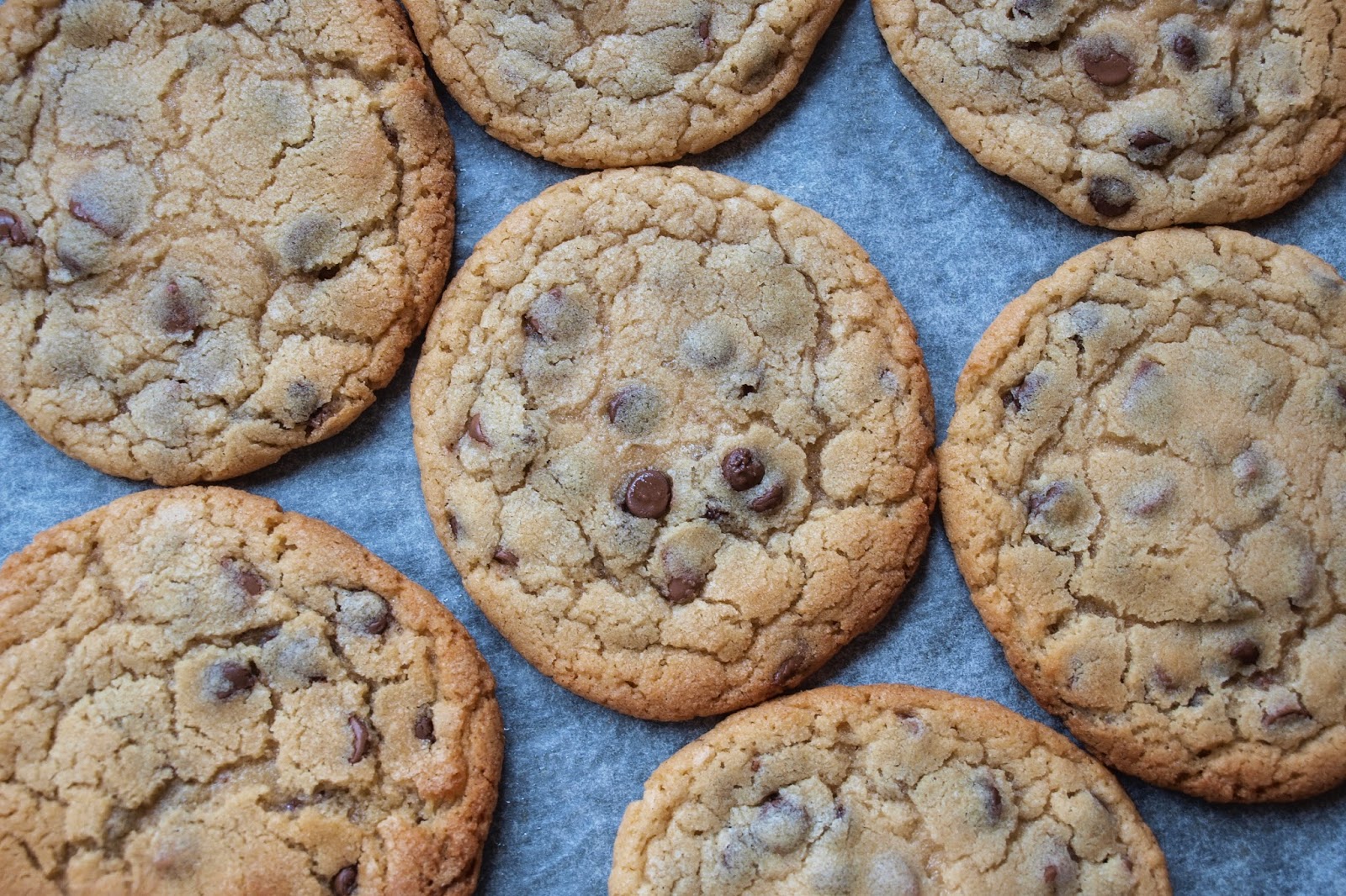 Anastasia Gammon: The most delicious chocolate chip cookies.