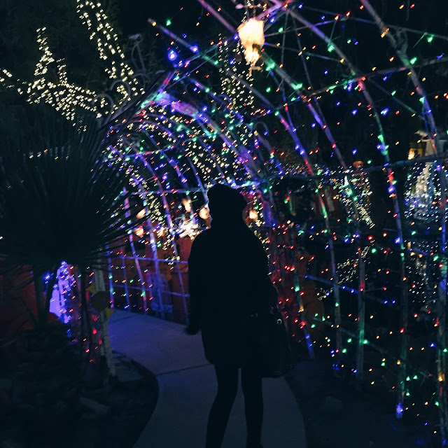 Palm Springs- Robolights | StephC