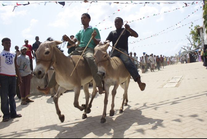 Journeying in Africa with Sunrise Tours and Safaris