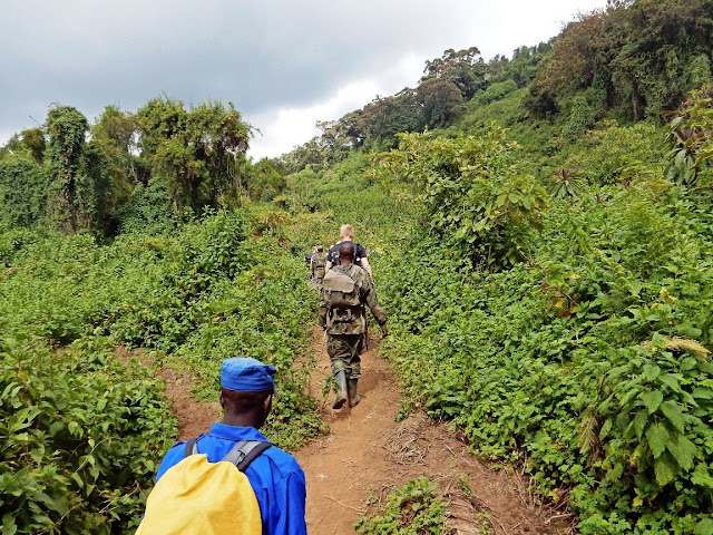 the viewing deck: Rwanda's Mt. Bisoke Crater Lake Day-Hike (3,711masl)