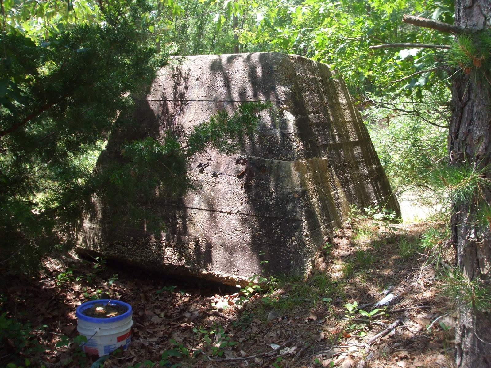 The Adventures of Miss Myo: Amatol, NJ