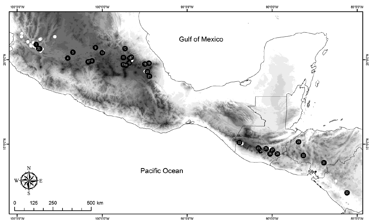 BOOK of MORMON RESOURCES: Obsidian Trade Patterns