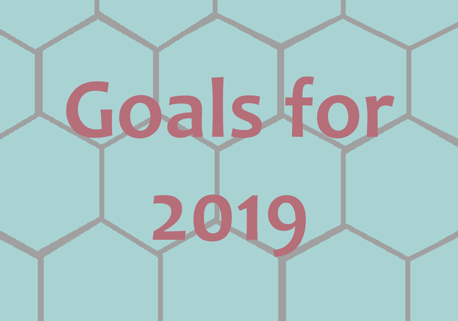 2019 Goals