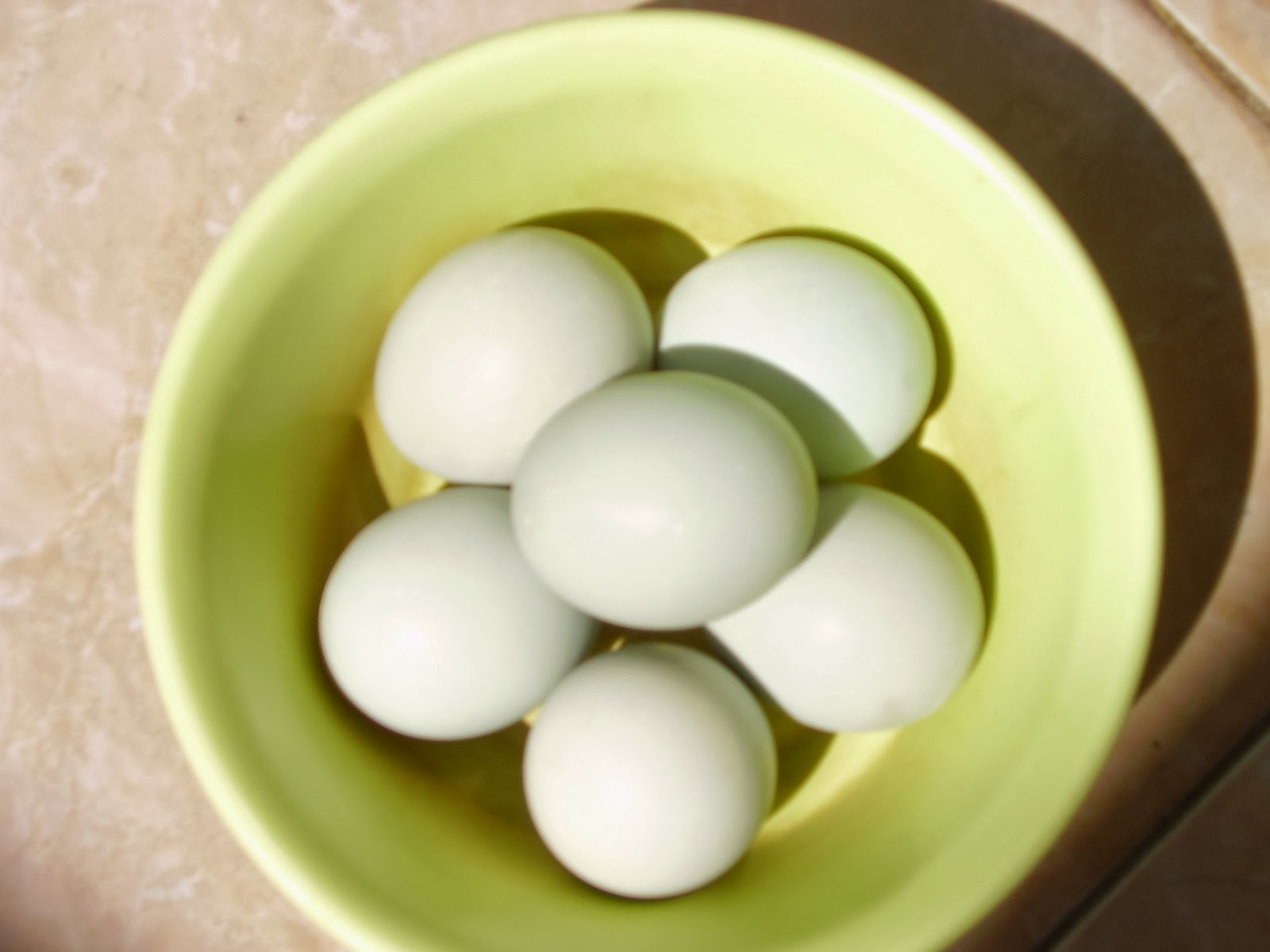 Khasiat dan Manfaat Telur Bebek Untuk Tubuh | Cara Beternak