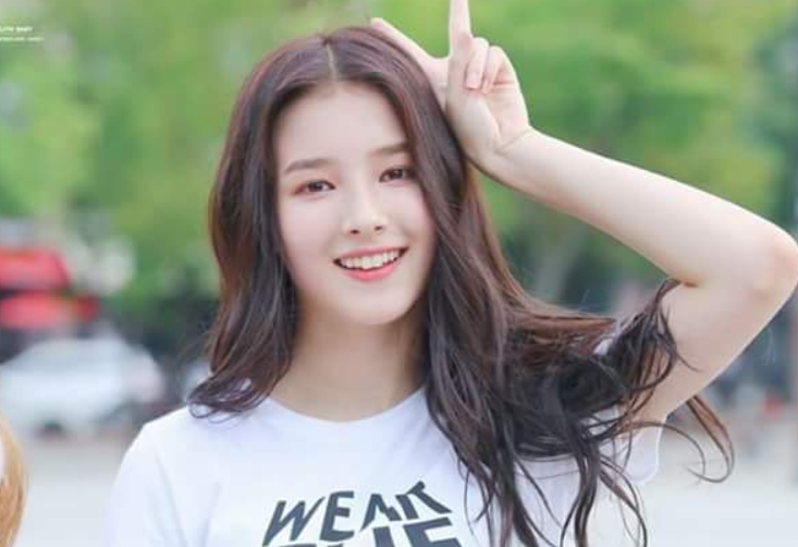 All Categories - herecfil