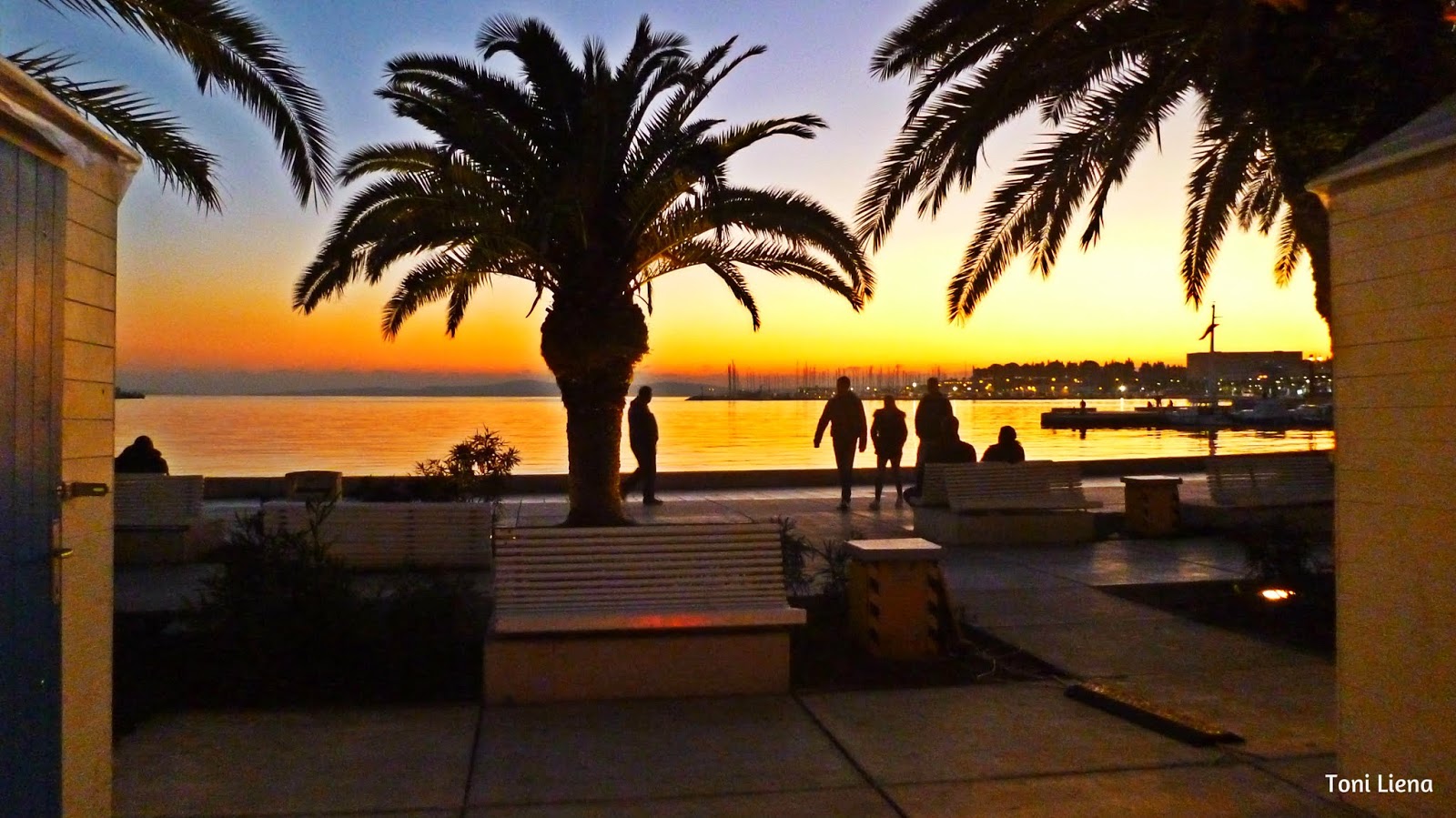 Hrvatski Pjesnici: ZEMLJOVID NOĆI 9