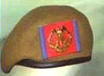 Dunia Militer Etc: Jenis baret TNI AD