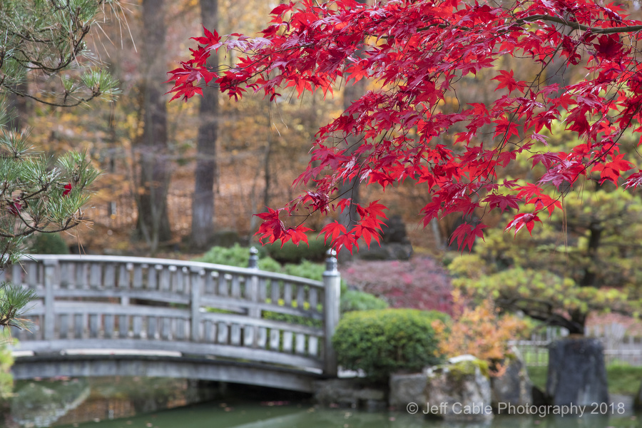 Jeff Cable's Blog: The fall colors of Spokane, Washington and the river ...