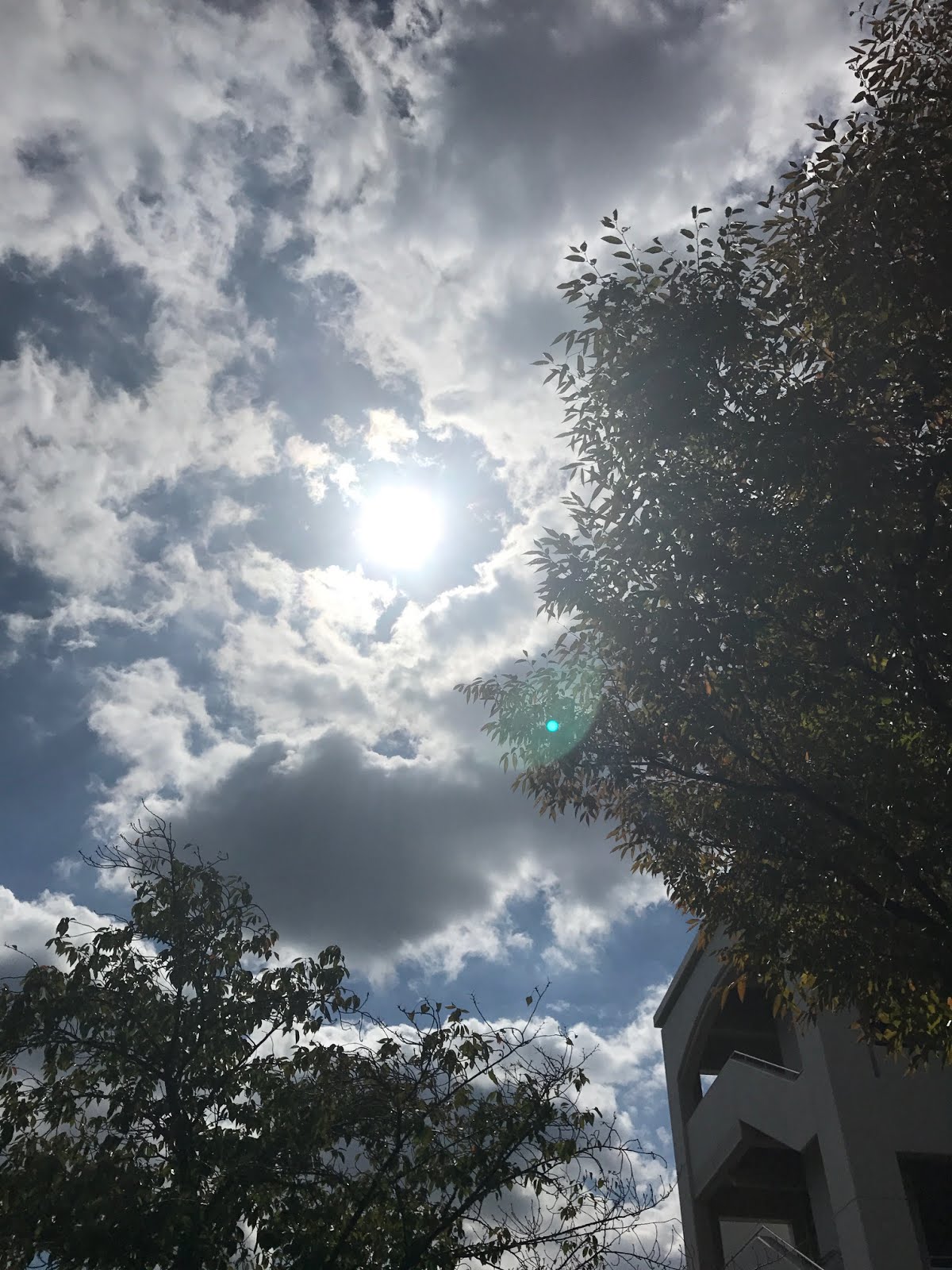 okkun-lab blog: 10月 2017