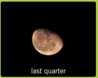 Mi primer año en Red XXI: enero 2013