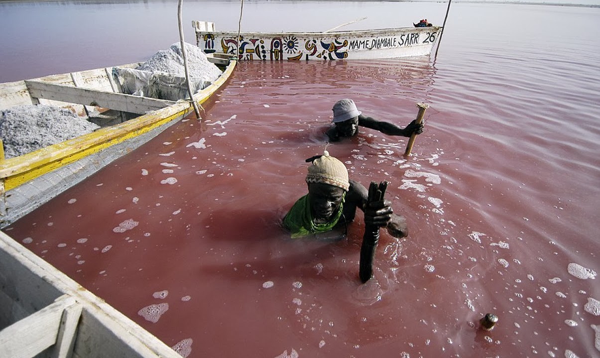 Pink Lake In Senegal - Lake Retba - Unbelievable Info