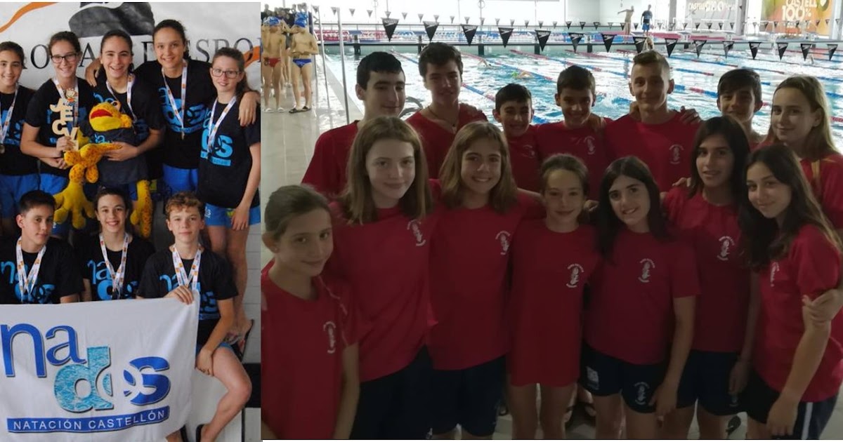 AMIGOS DE LA NATACION VALENCIANA: Campeonato provincial alevín en ...