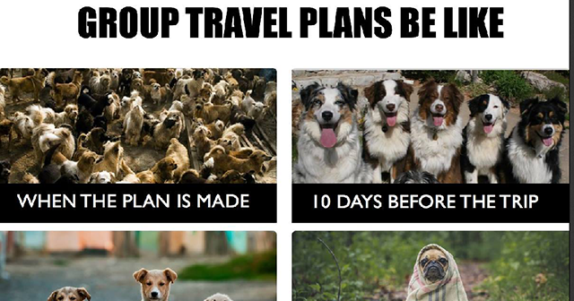 Daily Funny Collection #4 (23 Pics)