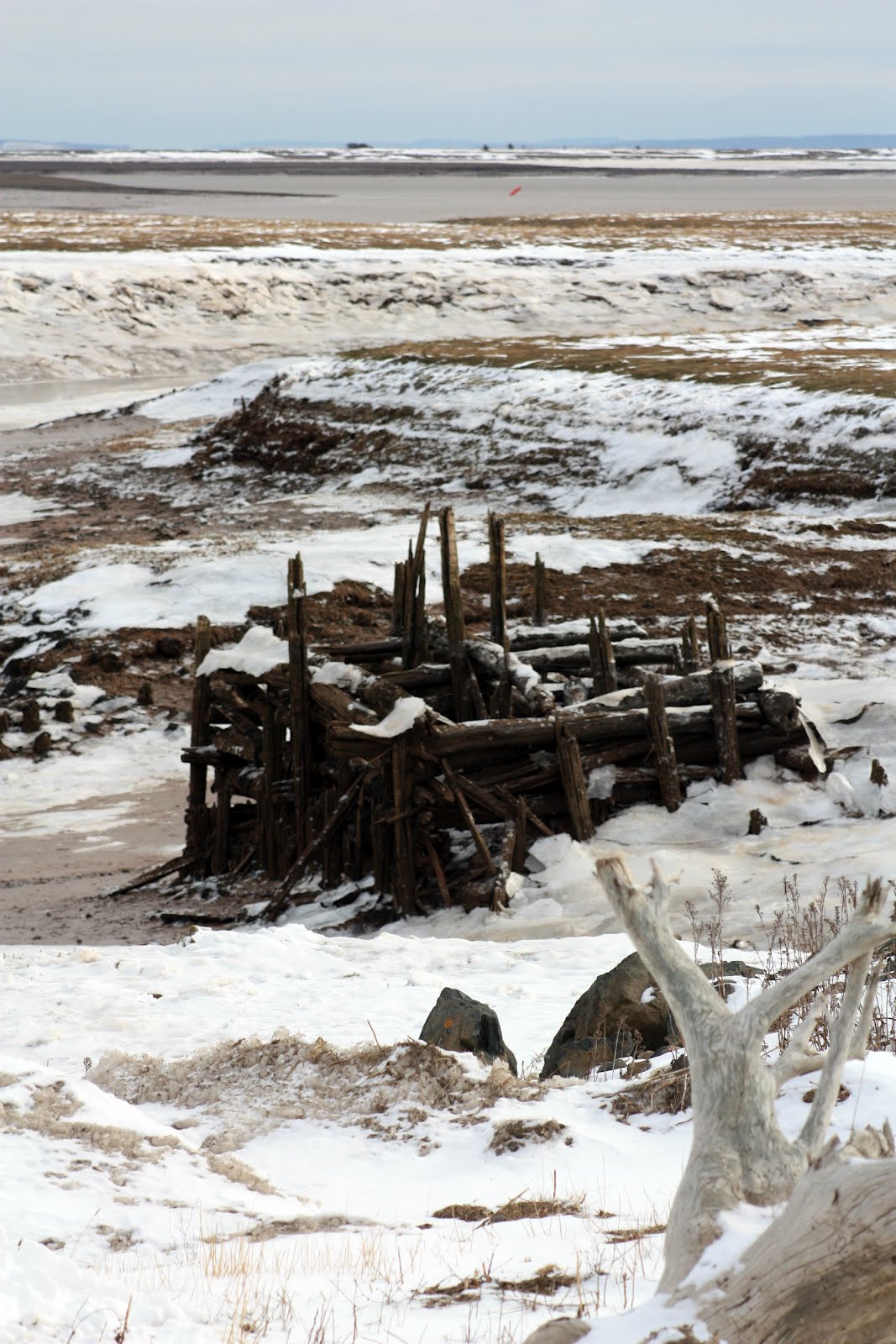 Carol Steel: Parrsboro, Nova Scotia