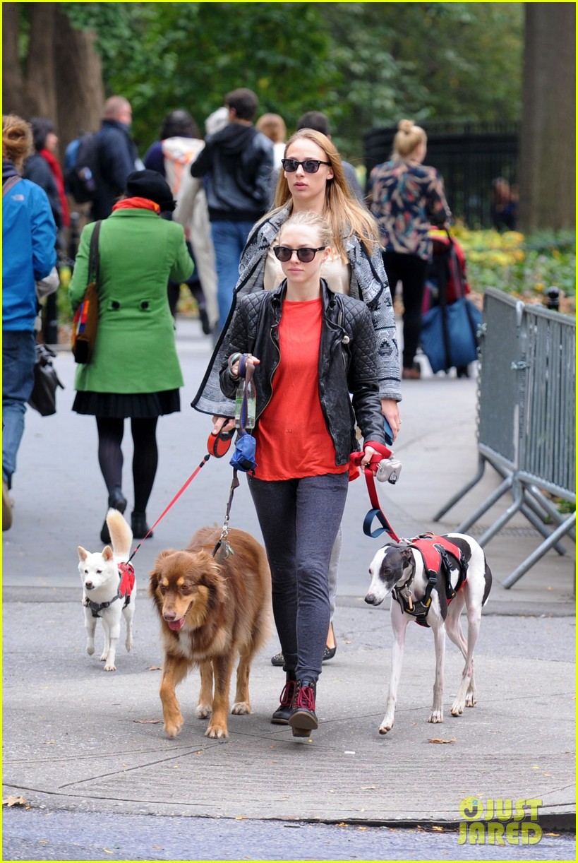 Gossip Journal: Amanda Seyfried walking her dogs in NYC