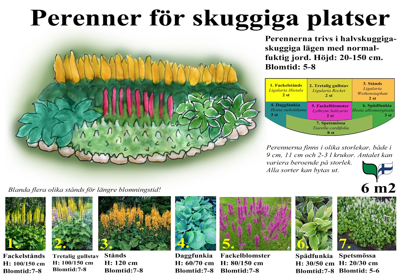 Sol och grönt: Fyra olika rabatter för fyra olika lägen