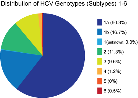 Hepatitis C virus genotype 1b - Imad Analis Blog