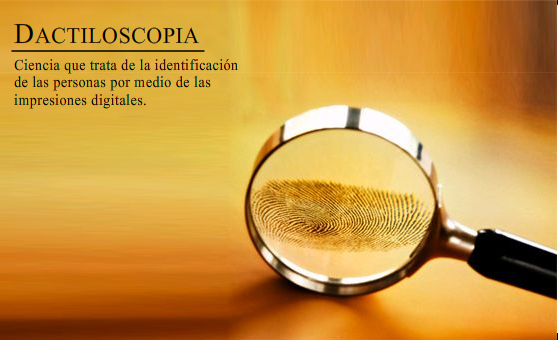 criminalistica, balística y dactiloscopia: Dactiloscopia