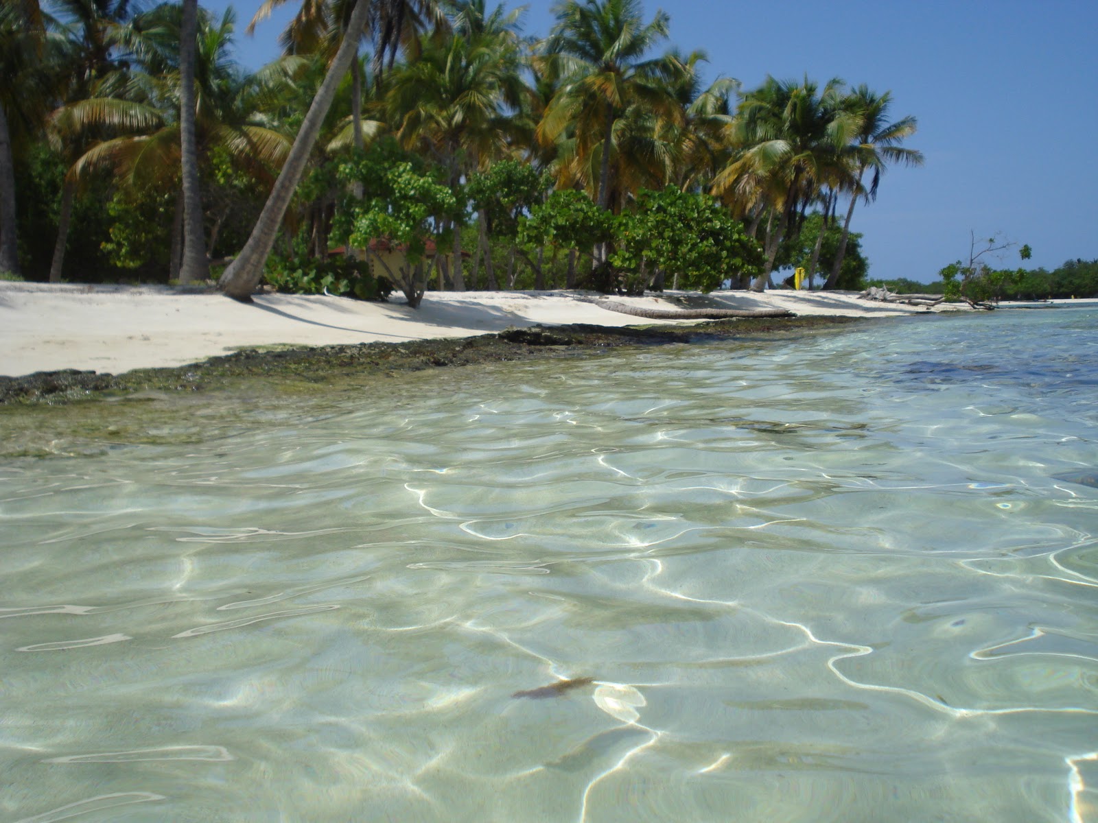 Venezuela Bajo Presupuesto: Región Occidental