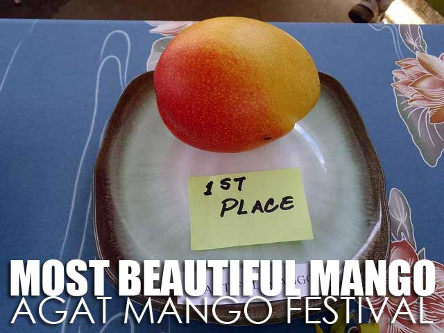 Guam: Agat Mango Festival, Santa Rita Fiesta & more Guam events | Ivan ...