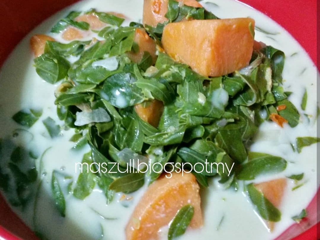 PELBAGAI MENU SIMPLE SAYUR-SAYURAN