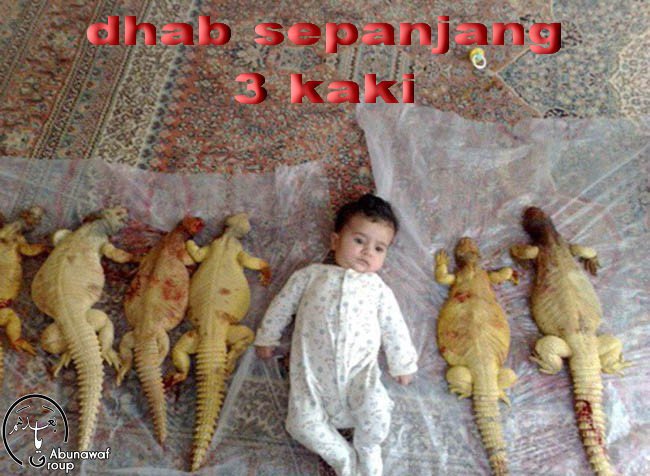 KEDAI ONLINE DHAB SINAI: AL-KISAH DHAB