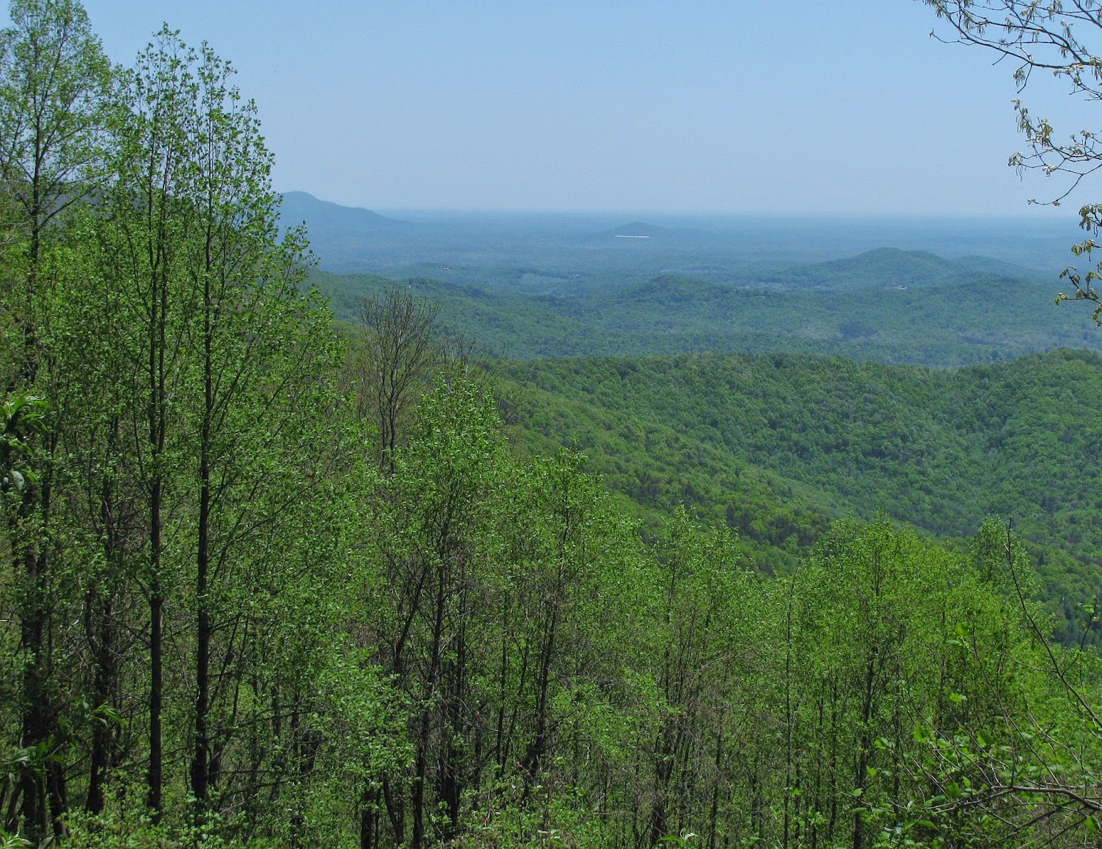 Tales From The Wood Booger: AT Day Hikes: The Wonders Of Woody Gap
