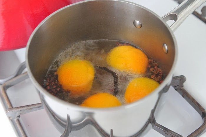 {southern bliss blog}: {DIY: Holiday Spice Simmering Stovetop Potpourri}