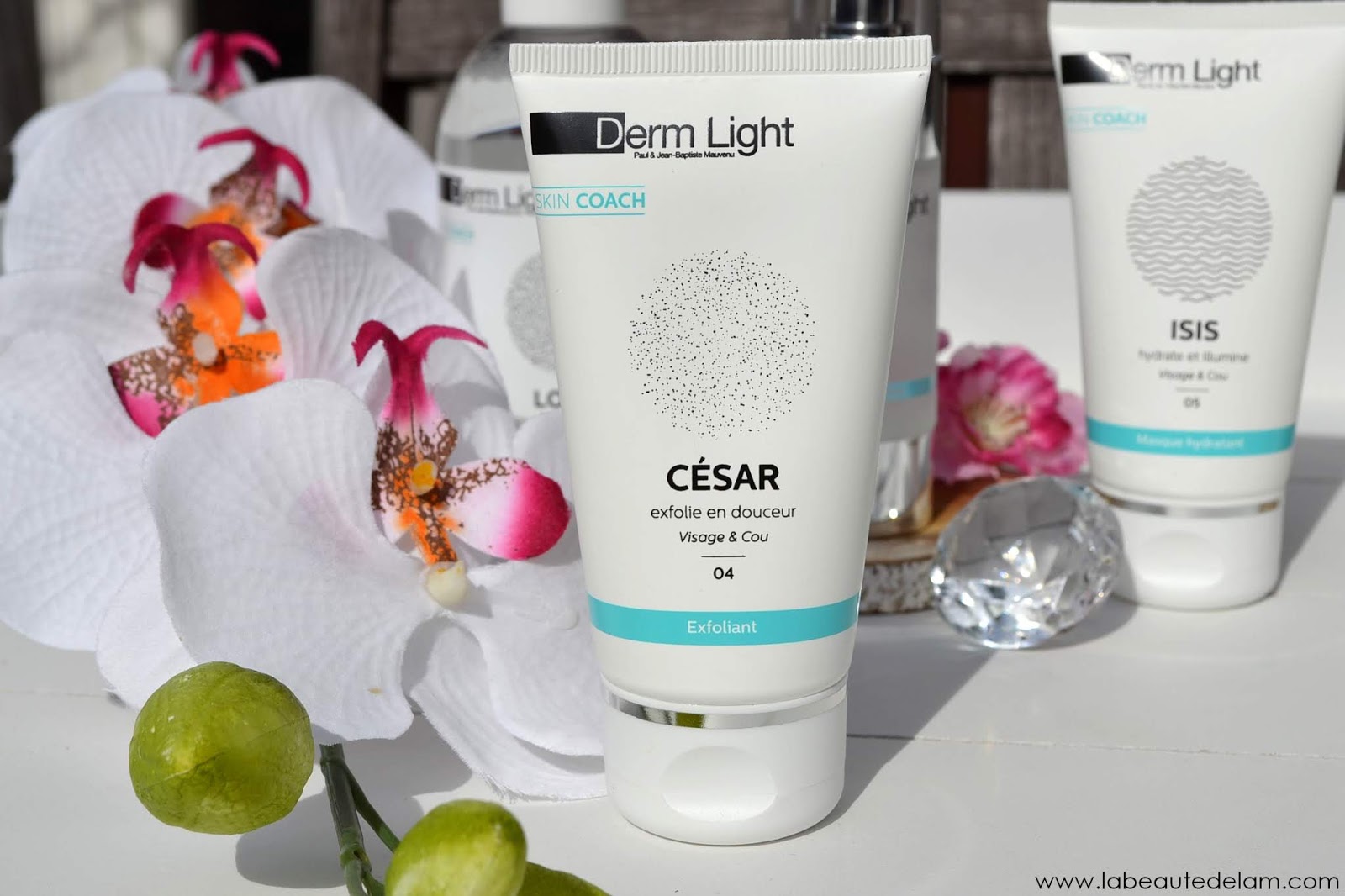 Skin Coach de Derm Light : des soins simples, efficaces et pour tout le ...