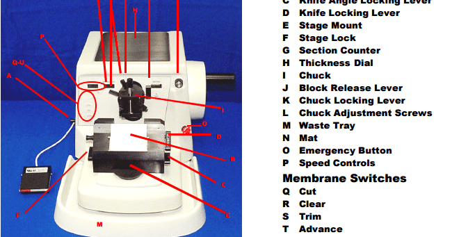Lecture Notes in Medical Technology: Cutting of Sections
