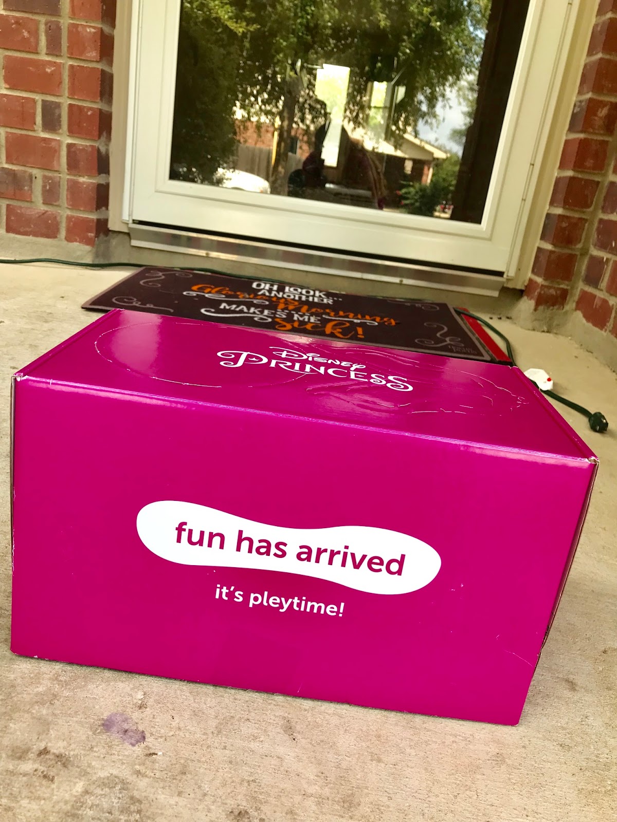 Airing My Laundry, One Post At A Time...: A Disney Princess PleyBox Review